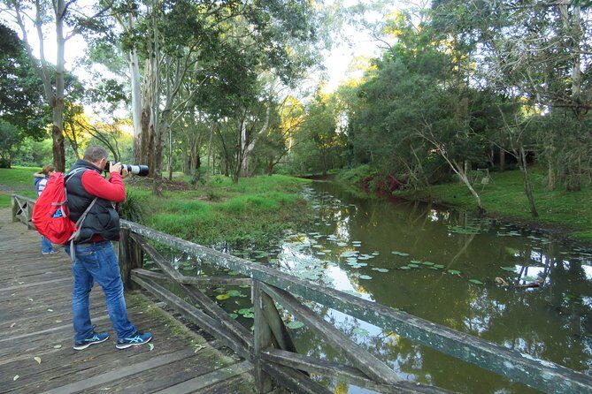 Byron Bay Platypus Walk - The Value for Money