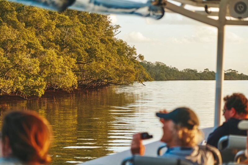 Byron Bay: Scenic Sunset River Cruise - Who Will Love This Tour?