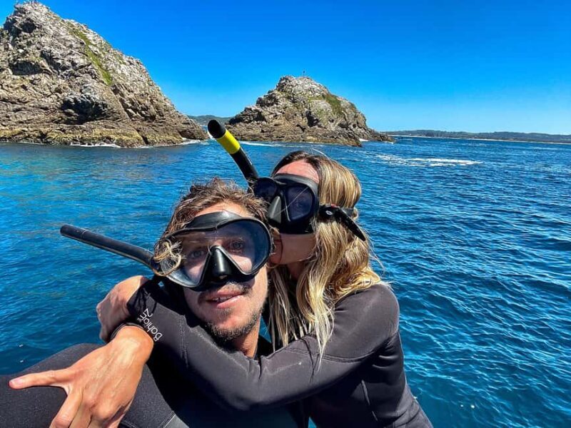 Byron Bay: Snorkeling Tour at Julian Rocks, Nguthungulli - Key Points