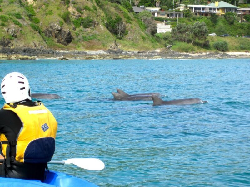 Byron Bay: The Byron Bay Sea Kayak Tour - Reviews: What Paddlers Are Saying