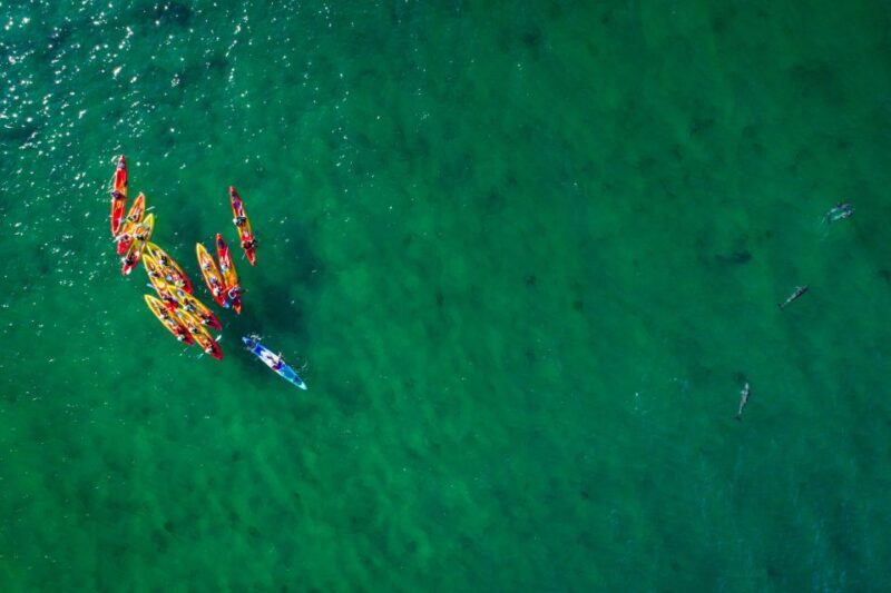 Byron Bay: The Byron Bay Sea Kayak Tour - The Sum Up