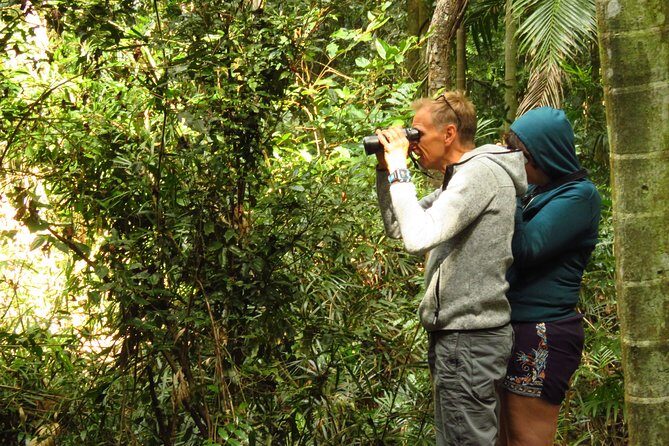 Byron Bay Wildlife Safari - Key Points