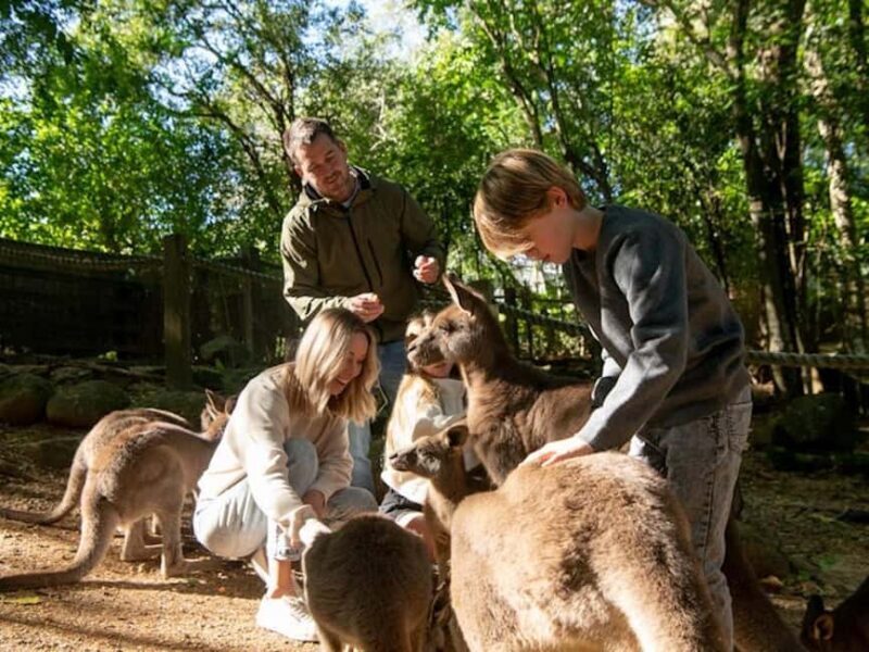 Byron Bay Wildlife Sanctuary Entry Ticket - Who Will Love This Experience?