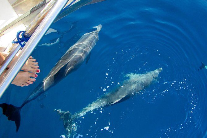 cabin charter in September, sailing boat, CYCLADES, SANTORINI, with CHEF - FAQs