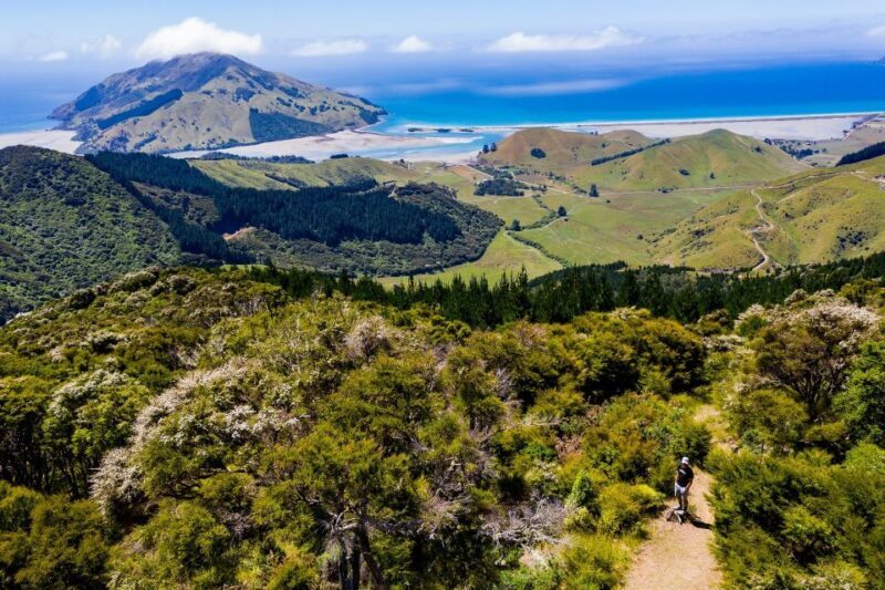 Cable Bay Adventure Park: E-bike hire - Exploring Cable Bay Adventure Park: A practical guide to the E-bike hire experience