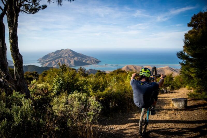 Cable Bay Adventure Park: E-bike hire - Value and practicality