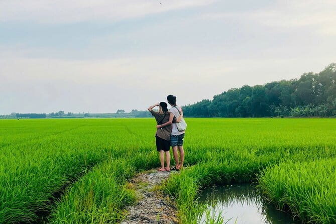 Cable Car and Landscape South in Phu Quoc Island - Who Would Enjoy This Tour?