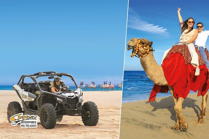 Cabo Adventure: Can-Am X3 Ride & Camel Beach Tou - The Experience: What It’s All About