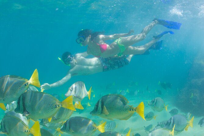 Cabo Arch Glass Bottom Boat: Hotel PICKUP, Arch & Lovers Beach - The Sum Up