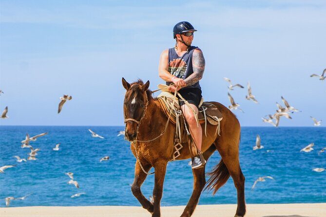 Cabo ATV Adventure with Camel and Horseback Ride - Final Thoughts: Is It Worth It?