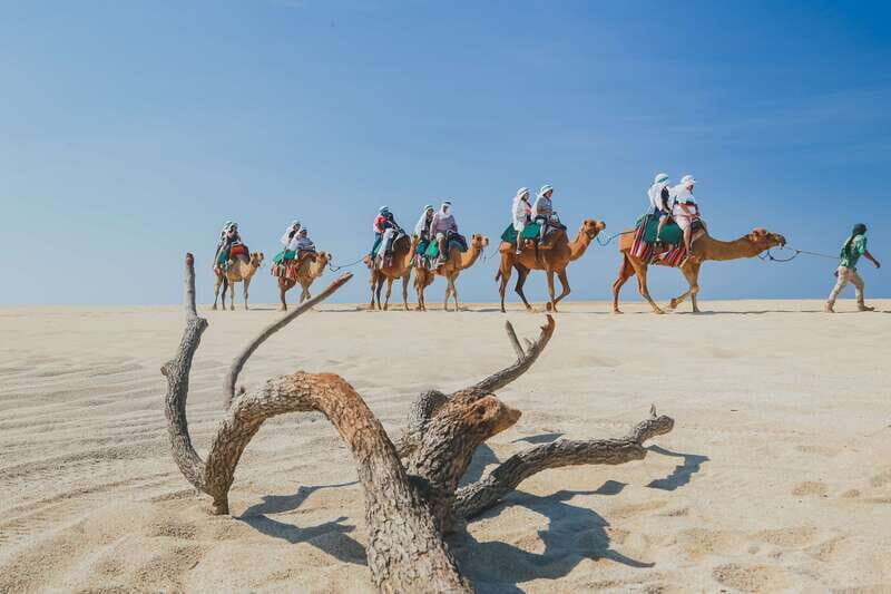 Cabo: ATV and Camel Combo Adventure Tour - FAQ