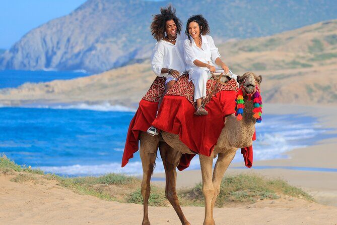 Cabo Beach Adventure Camel Ride and Sky Bike Experience - Key Points