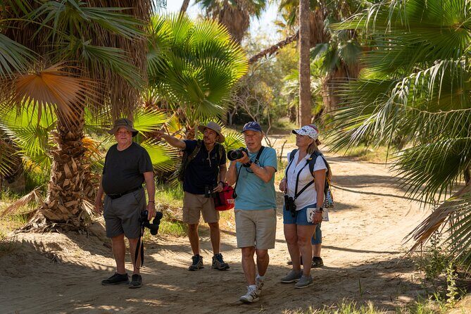 Cabo birding | Bird watching at bird sanctuary - Who Is This Tour Best For?