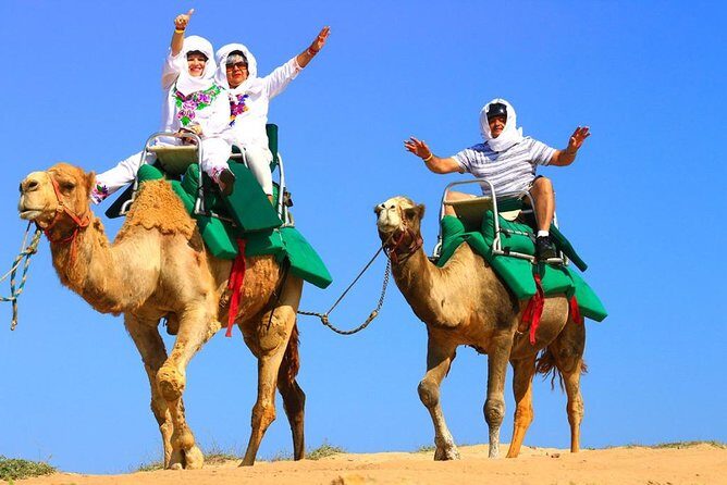 Cabo Camel and Safari Ride - What to Expect from the Itinerary