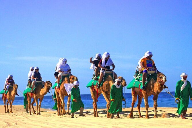 Cabo Camel and Safari Ride - Authenticity and Education