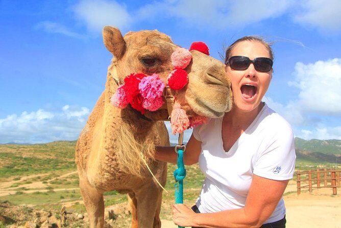 Cabo Camel and Safari Ride - What the Reviews Say