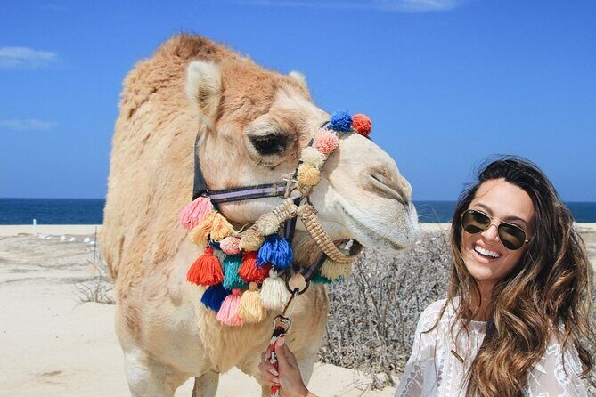 Cabo Camel Ride: Beach Safari, Tequila Tasting & Buffet - Introduction