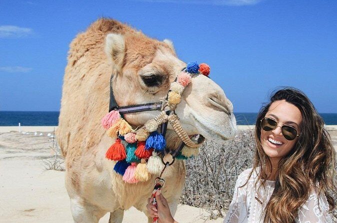 Cabo Camel Ride: Beach Safari, Tequila Tasting & Buffet - The Sum Up