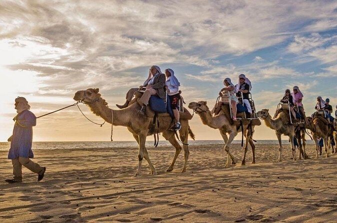 Cabo Camel Ride: Beach Safari, Tequila Tasting & Buffet - FAQs