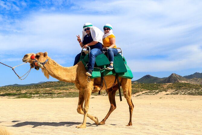 Cabo Camel Ride Experience - An Honest Look at the Cabo Camel Ride Experience