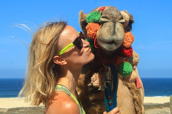 Cabo Camel Ride Experience - FAQ