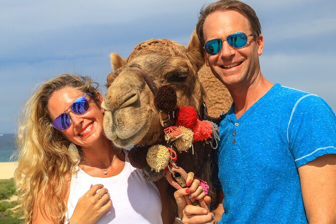 Cabo Camel Ride Experience - Key Points