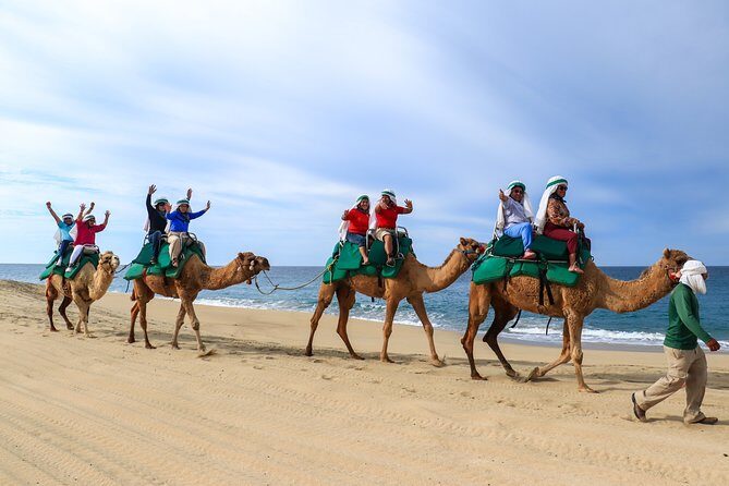 Cabo Camel Ride Experience - The Scenic Beach and Viewpoints