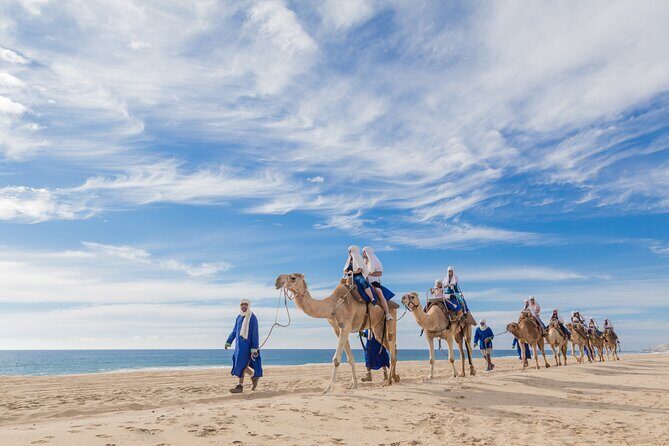 Cabo Camel Ride, Mexican Buffet and Tequila Tasting - In-Depth Look at the Experience