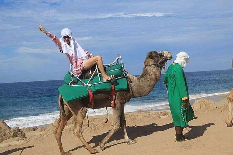 Cabo: Camel Ride On The Beach - The Itinerary Breakdown
