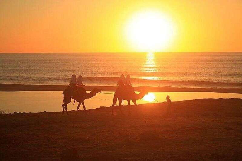 Cabo: Camel Ride On The Beach - Additional Inclusions and Practical Details
