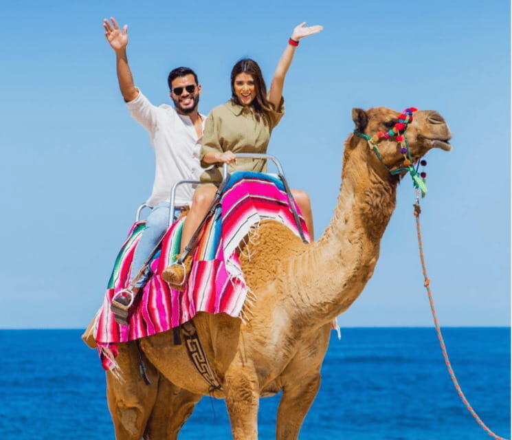 Cabo: Camel Safari Adventure with Tacos - FAQ