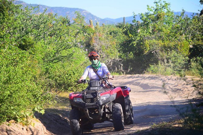 Cabo Candelaria Village Adventure + Tequila Tasting - Who Will Love This Tour?