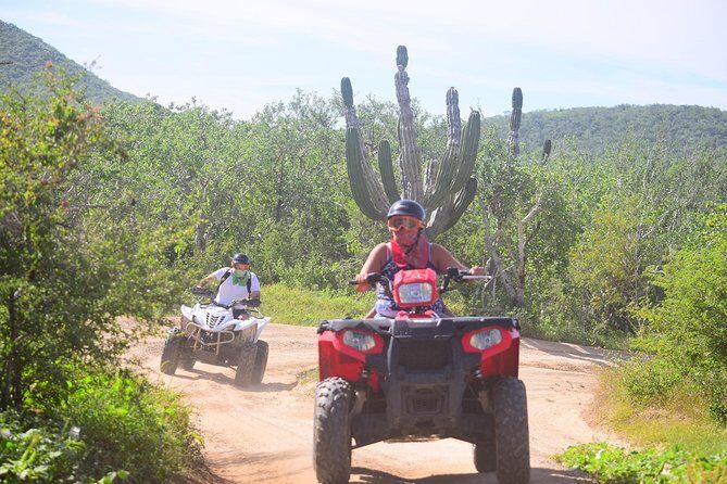 Cabo Candelaria Village Adventure + Tequila Tasting - The Sum Up: Who’s It For?