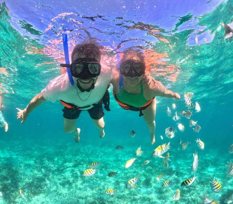Cabo Catamaran Cruise  Arch, Snorkeling, Open Bar & Snacks - A Breakdown of the Itinerary