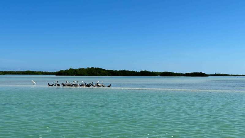Cabo Catoche Snorkel And Fishing - Key Points