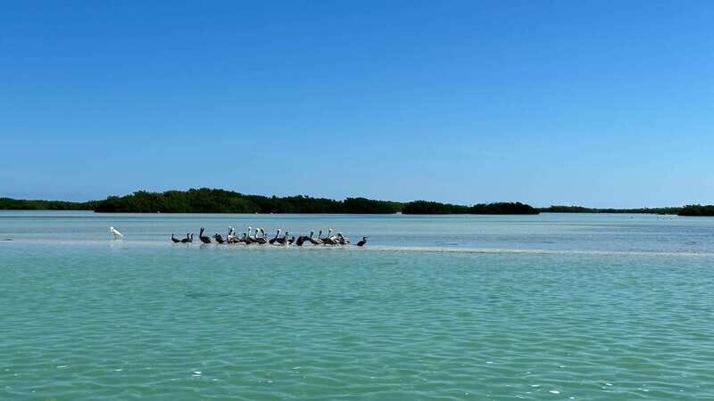 Cabo Catoche Snorkel And Fishing - The Value of the Tour