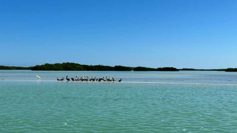 Cabo Catoche Snorkel And Fishing - FAQ