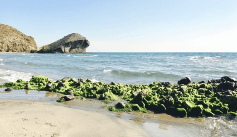 Cabo de Gata: 4x4 Tour Genoveses, Monsul and Gold Mines - Key Points
