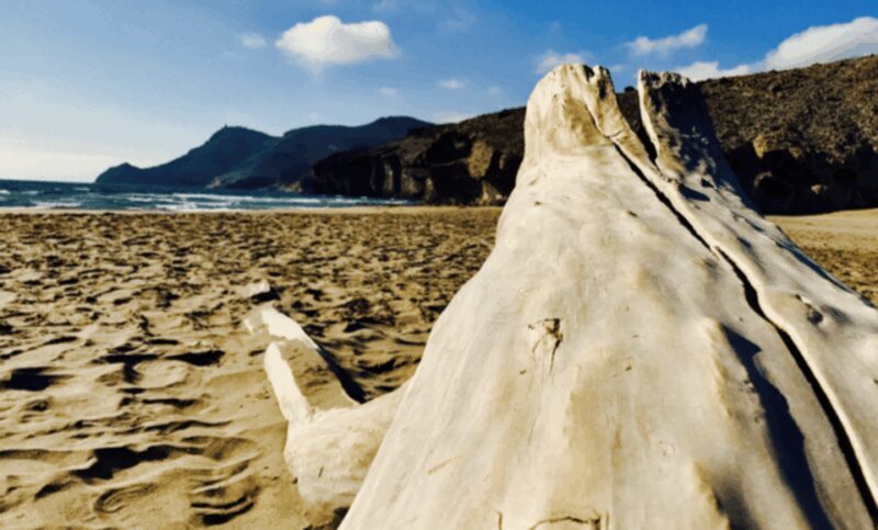 Cabo de Gata: 4x4 Tour Genoveses, Monsul and Gold Mines - Discovering Los Albarcoques