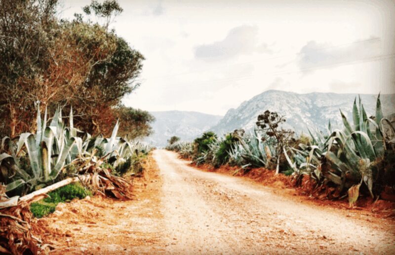 Cabo de Gata: 4x4 Tour Genoveses, Monsul and Gold Mines - Ending the Tour