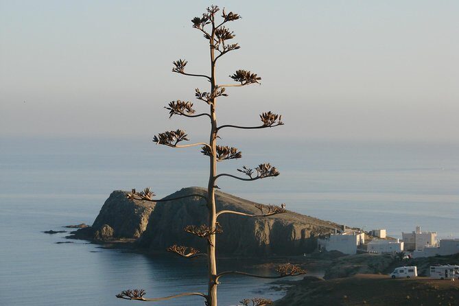 Cabo de Gata Natural Park from Roquetas, Aguadulce & Almeria - Key Points