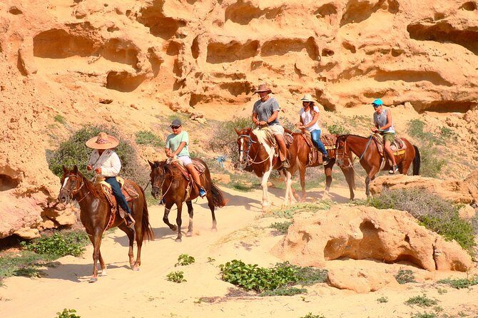 Cabo Desert ATV & Beach Horseback Combo enjoy adventure and beauty! - What the Tour Includes and What to Watch Out For