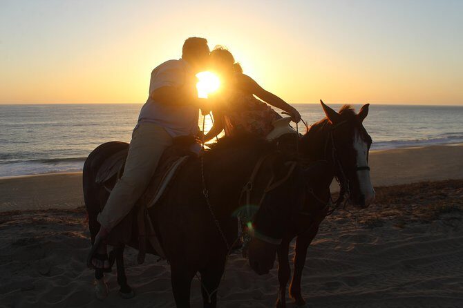 Cabo Desert Off-Road & Beach Horseback Combo and Tequila Tasting - The Experience: From Trails to Tides