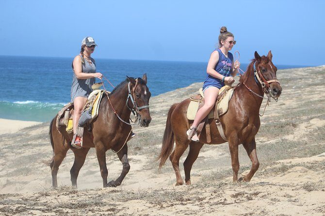 Cabo Desert Off-Road & Beach Horseback Combo and Tequila Tasting - Practical Tips for Your Tour