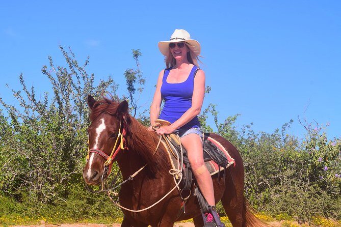 Cabo Desert Off-Road & Beach Horseback Combo and Tequila Tasting - Final Thoughts: Who Will Love This Tour?