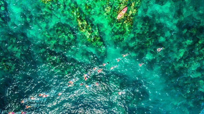 Cabo Escape Breakfast Snorkel Cruise - Practical Details