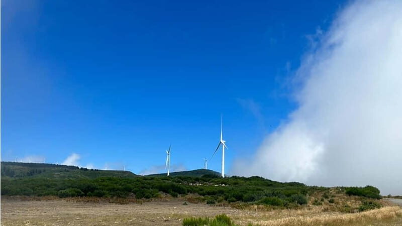 Cabo Girão, Seixal, Fanal & more  Full Day Tour With PickUp - Who Will Love This Tour?