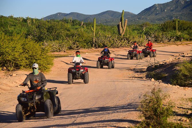 Cabo Migrino Beach and Desert ATV Tour plus Tequila Tasting - Frequently Asked Questions