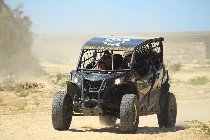 Cabo Migrino Beach & Desert Tour (Quad UTV) - An In-Depth Look at the Cabo Migrino Beach & Desert UTV Tour