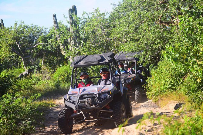 Cabo Migrino Beach & Desert Tour (Triple UTV) - What Past Travelers Say